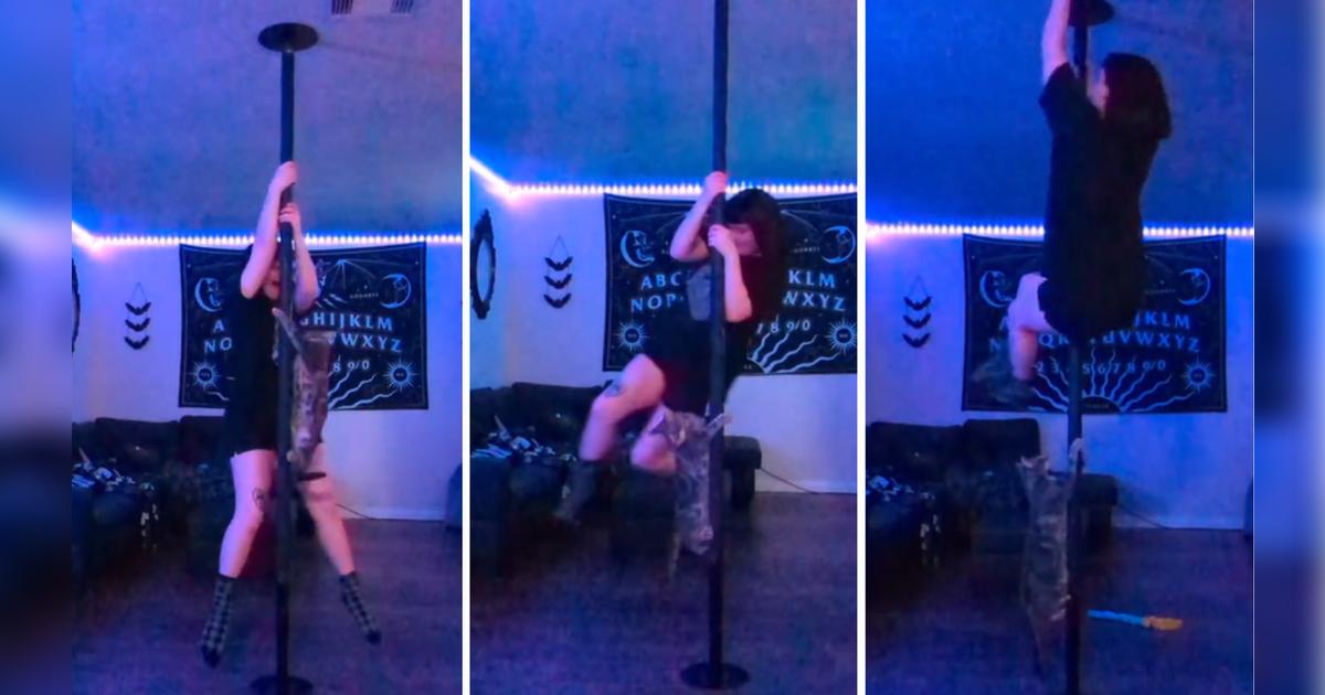 TikTok viral | Gatito practica pole dance junto con su dueña y sorprende en las redes: “Buena ...