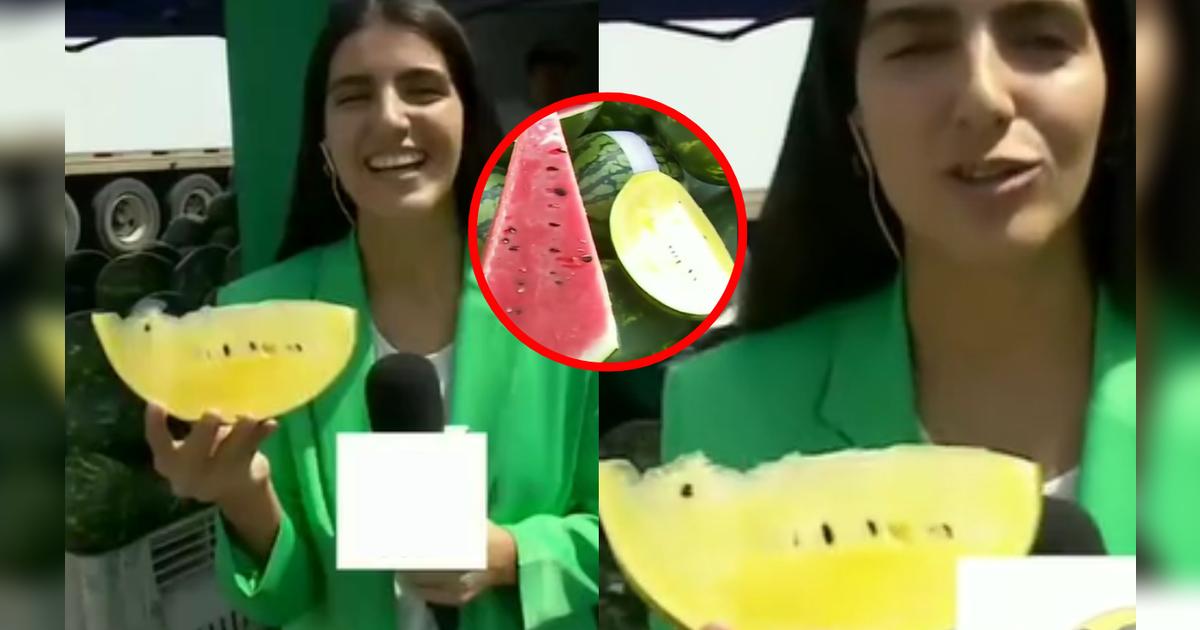 TikTok viral | Periodista chilena se asombra al ver por primera vez ...