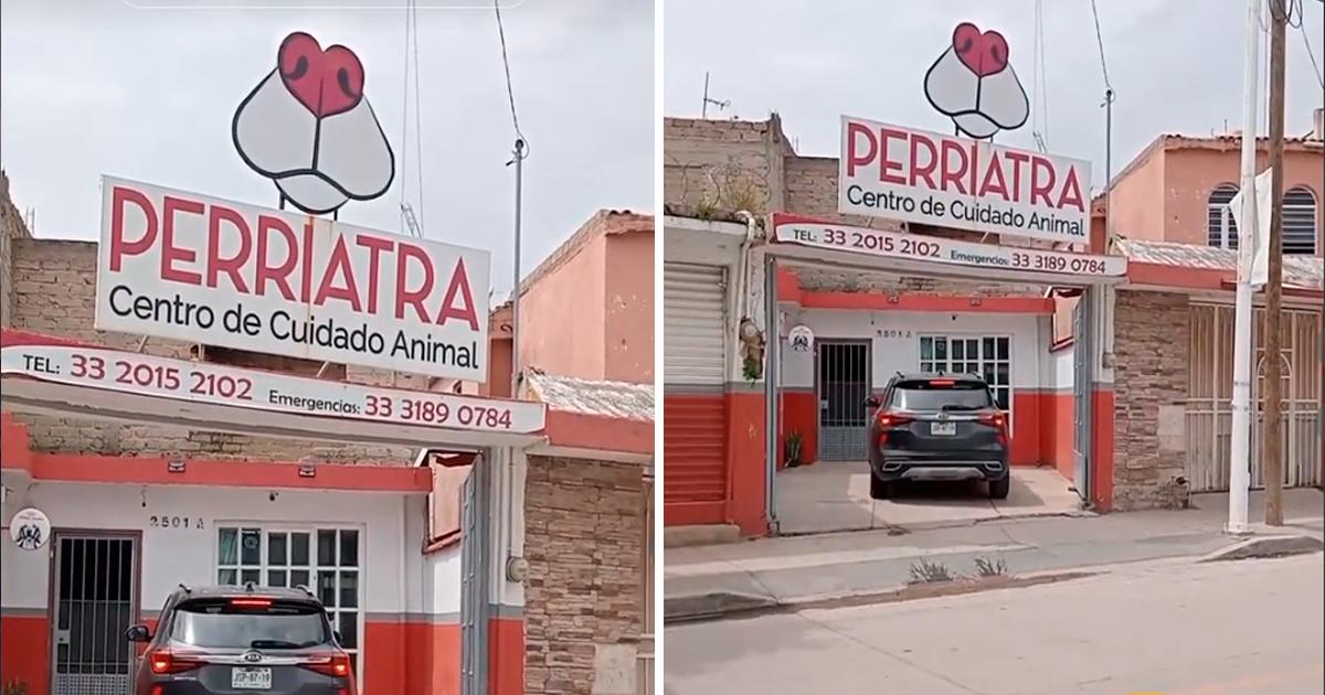TikTok viral | Perriatra, el peculiar nombre de una veterinaria que es viral en redes: “Los ...