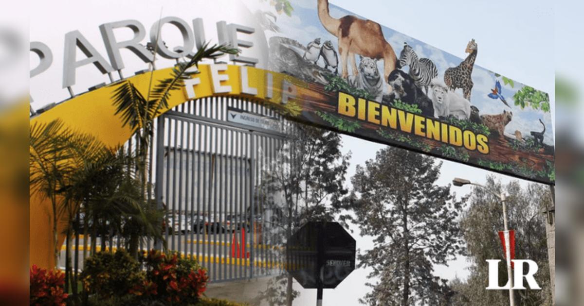 Nuevo Parque de las Leyendas en Huachipa reabre sus puertas hoy: conoce los precios y cómo ...