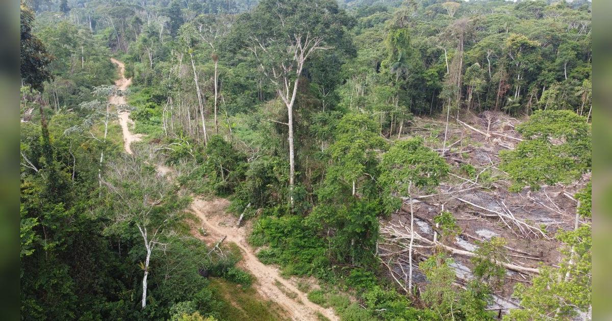 La urgencia de lograr la sostenibilidad de la conectividad vial ...