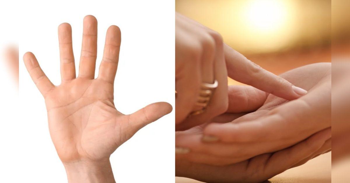 ¿Cuál es el significado de las líneas de las manos? Guía para leer la ...