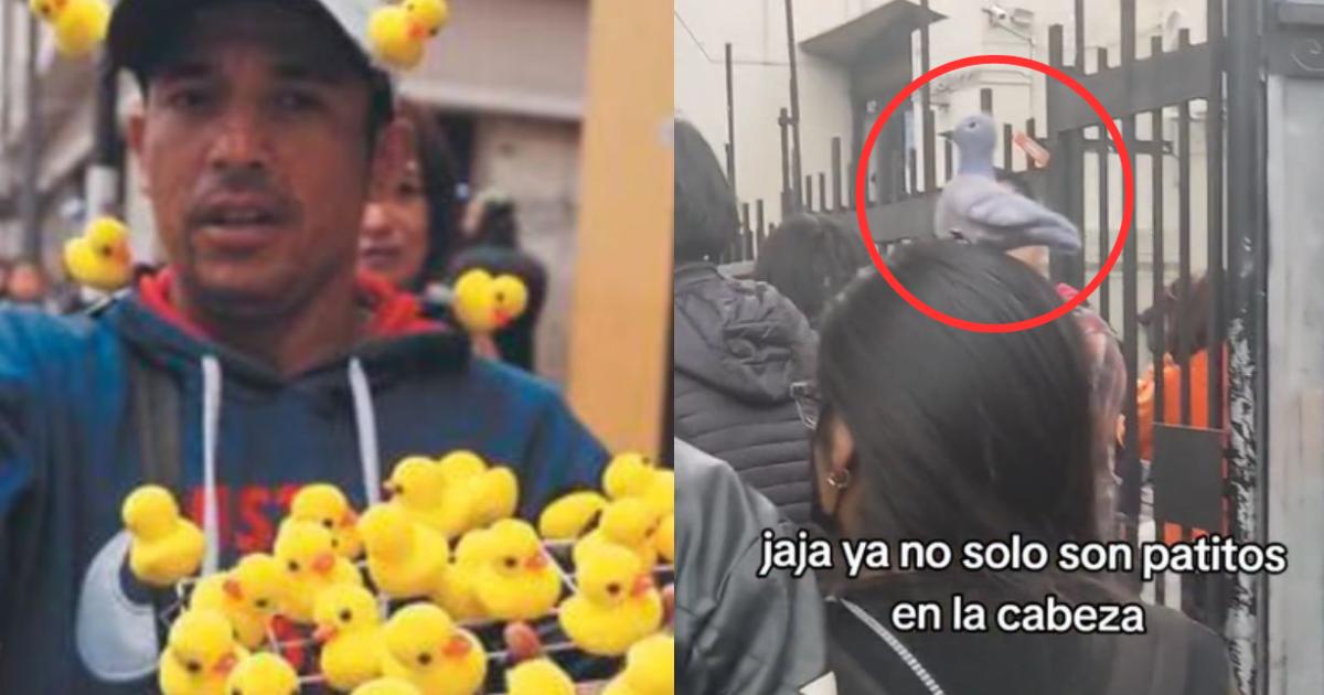 TikTok viral | ¿Los patitos kawaii pasaron de moda? Captan a mujer con ...