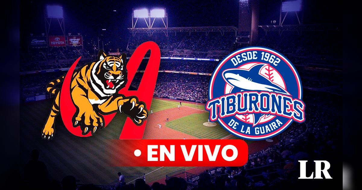 LVBP | Los Tiburones de La Guaira derrotaron a los Tigres de Aragua por la LVBP 2023-24 | Tigres ...