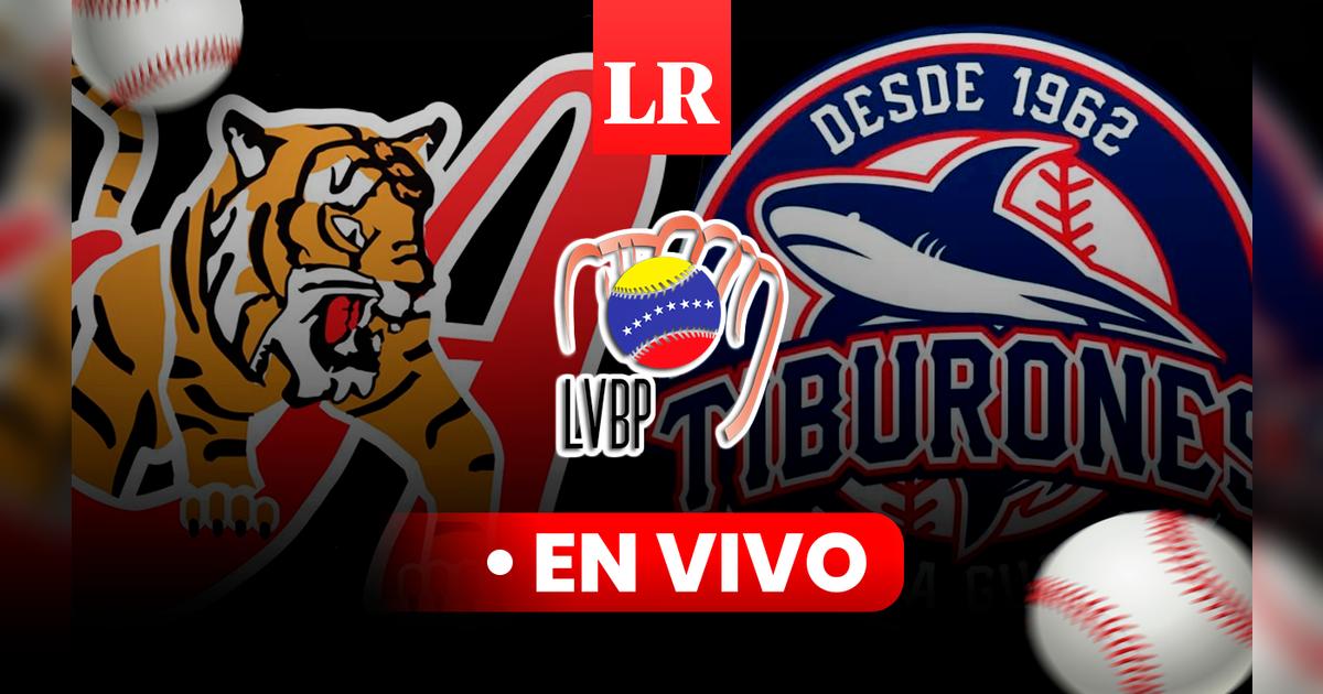 Resultado Tigres vs. Tiburones, LVBP 2023-24: los litoralenses vencen por 15-1 a los bengalíes ...