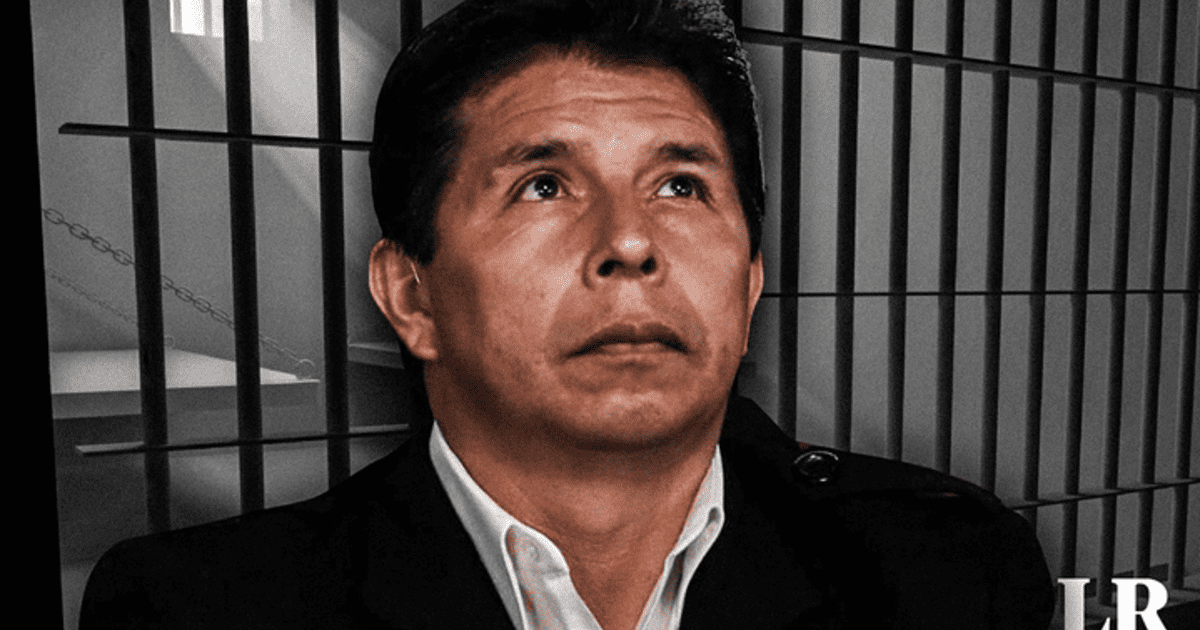 Pedro Castillo Poder Judicial Reprograma Pedido Para Dejar Sin Efecto
