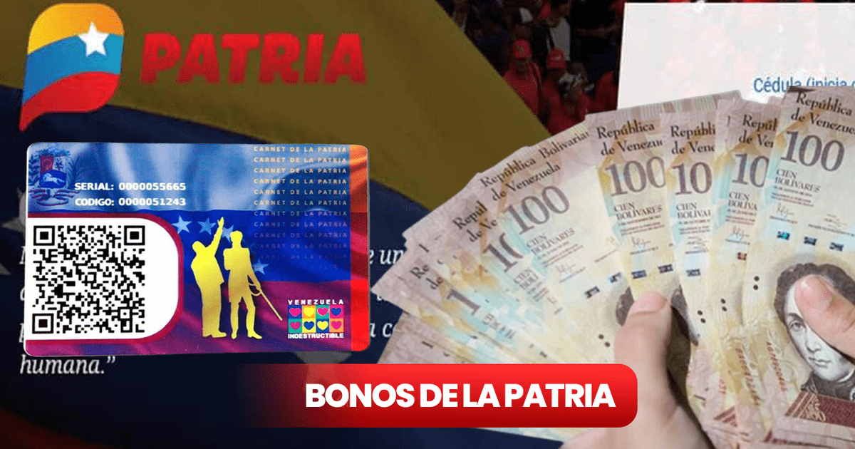 Nuevos Bonos de la Patria: COBRA HOY estos bonos en diciembre 2023 ... Nuevos Bonos de la Patria: COBRA HOY estos bonos en diciembre 2023 ...