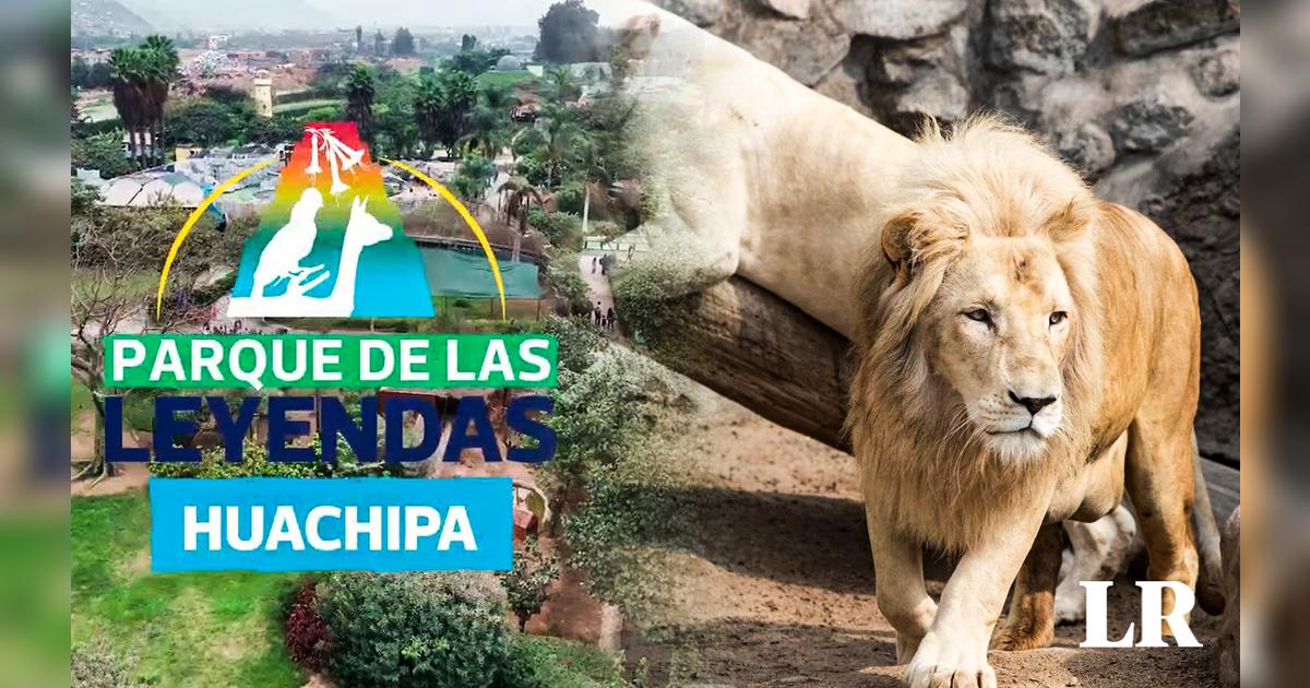Parque de las Leyendas en Huachipa: conoce los horarios, precios y atractivos para el verano ...