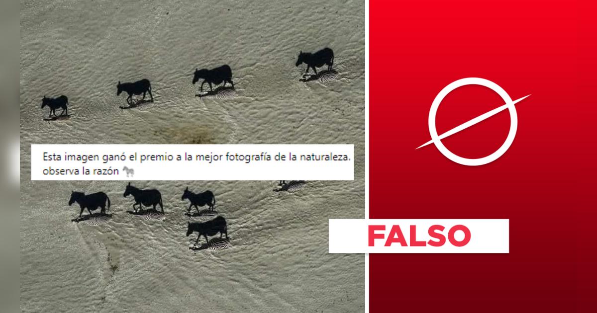La Mejor Naturaleza Animal