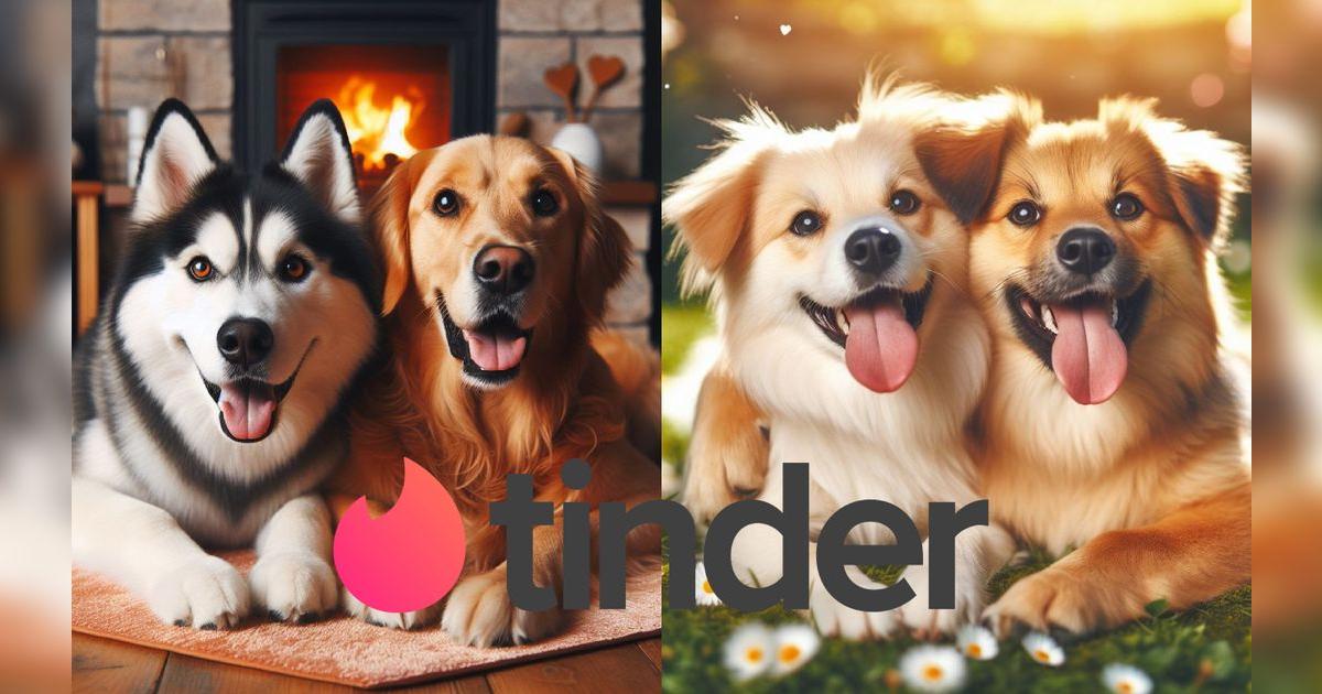 ¿Tinder para perros? estas son las apps para buscar pareja a tu mascota | aplicación de citas ...