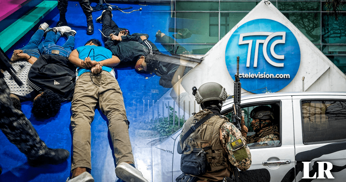 Tc Televisión En Vivo Canal 10 Fiscalía Procesará A Delincuentes Que
