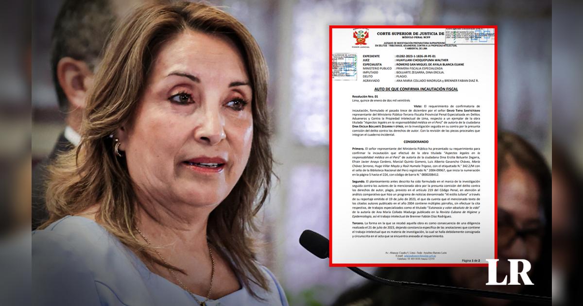 Poder Judicial confirma incautación de obra de Dina Boluarte por presunto plagio | Poder ...