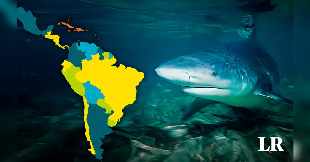 El único país del mundo donde puedes encontrar tiburones en lagos está ...