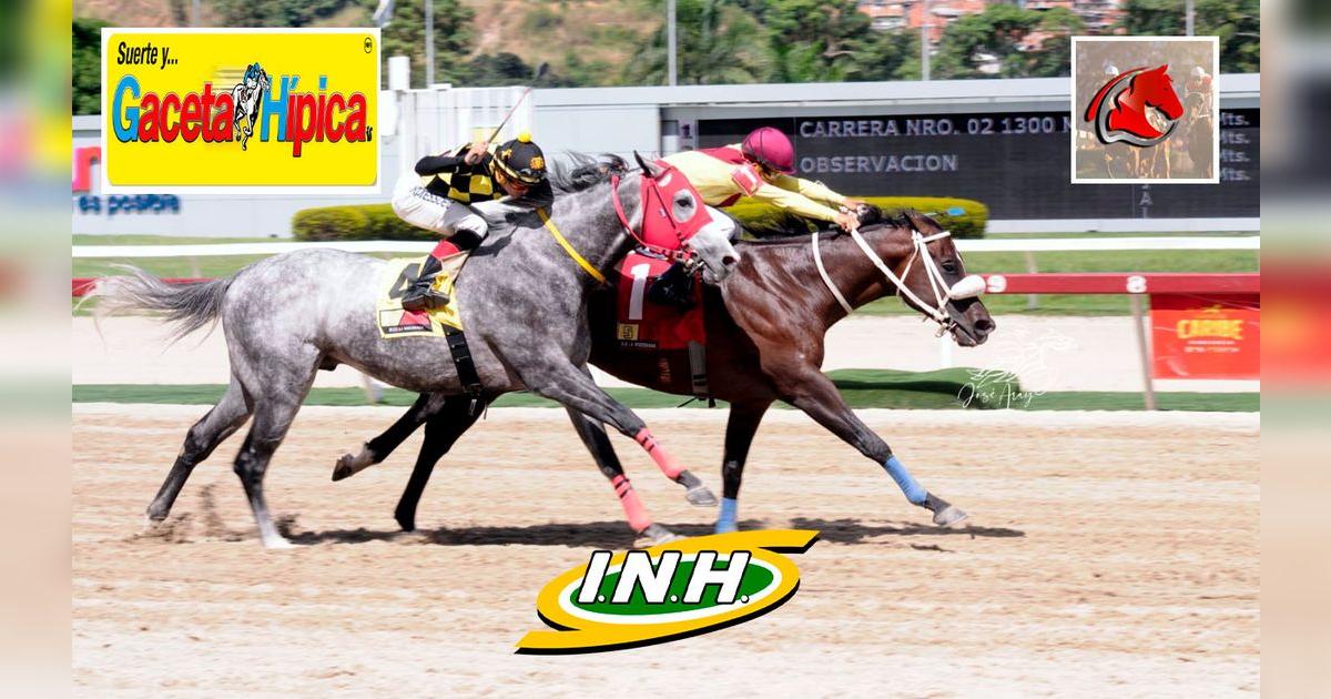 Traqueos La Rinconada, 21 de enero: datos, pronósticos y favoritos de ...