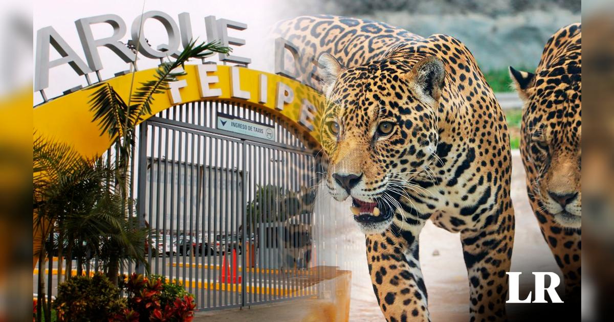 Parque de las Leyendas: conoce aquí cuál es el precio de entradas y cómo comprar por internet ...