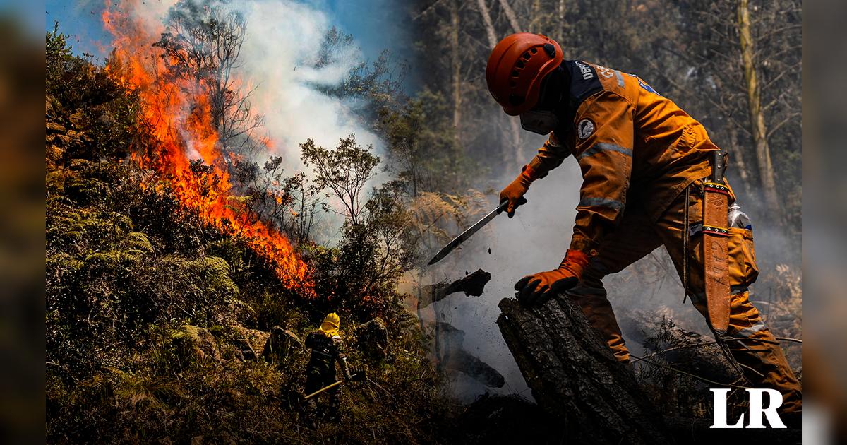 Incendio HOY | ¿Qué está pasando en Colombia? Bogotá y otras regiones ...