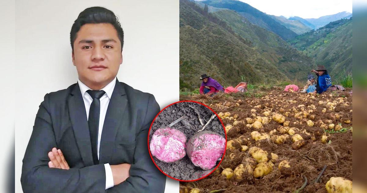 El PERUANO que logró que la papa de su pueblo en Huancavelica tuviera ...