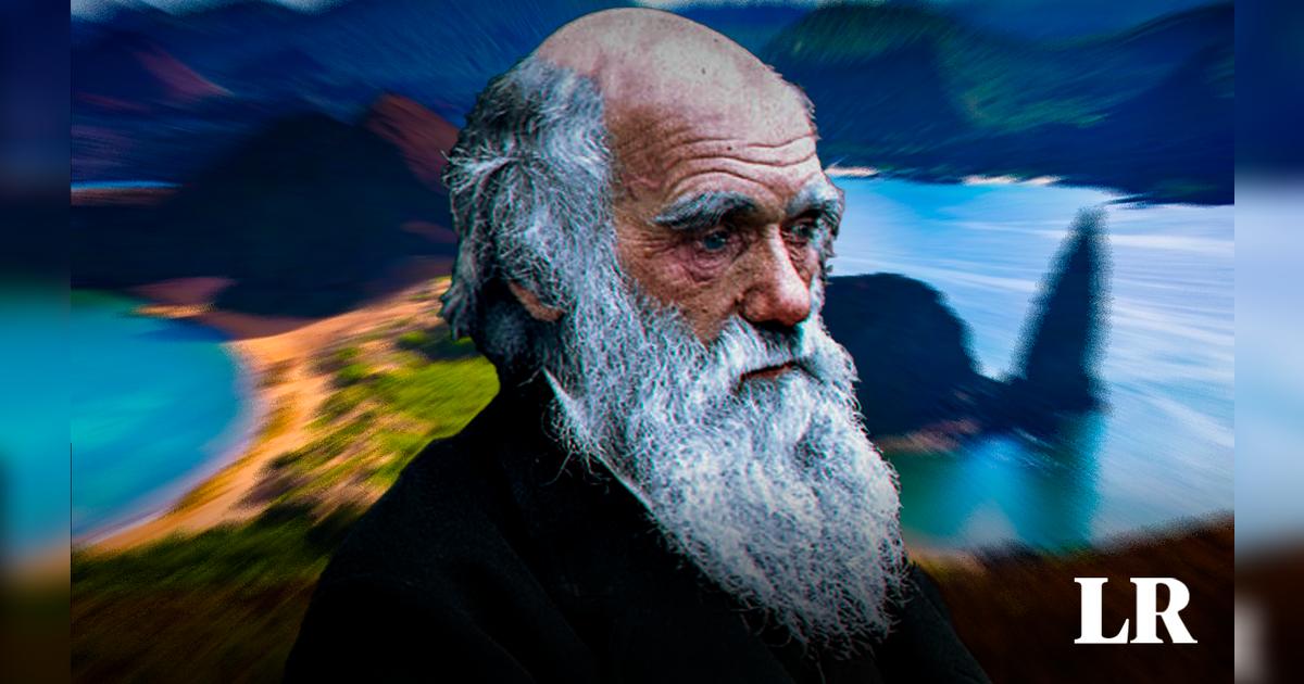 Las islas de Sudamérica que inspiraron la crucial teoría de la ...