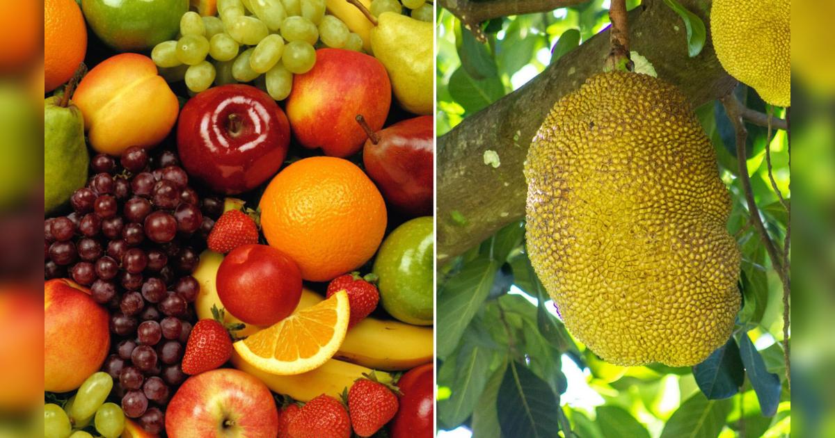 La única fruta que tiene siete sabores, ayuda a prevenir el cáncer y es ...