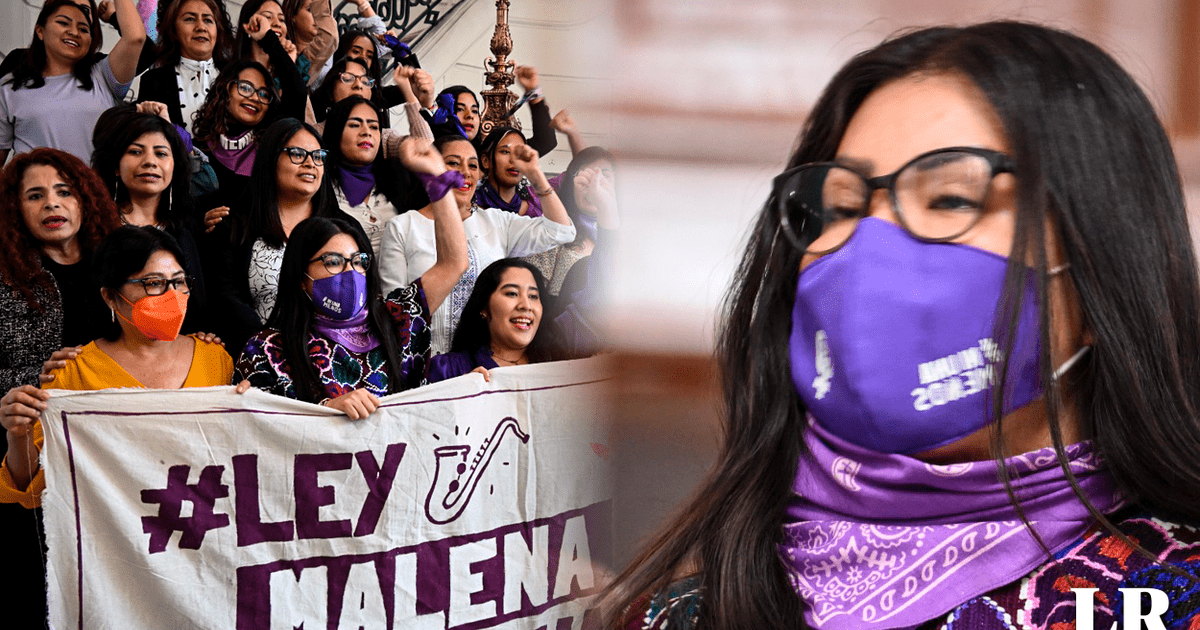 Ley Malena | El Congreso de Ciudad de México aprueba la Ley Malena: la ... Ley Malena | El Congreso de Ciudad de México aprueba la Ley Malena: la ...