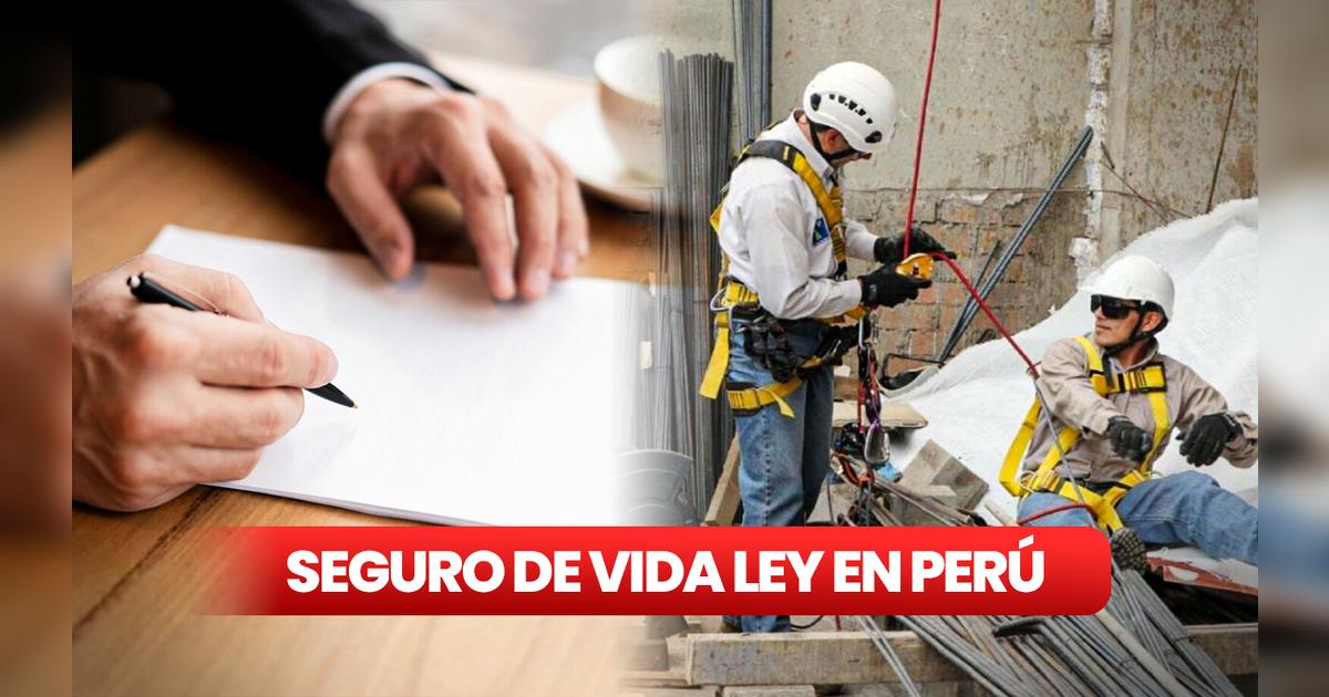 Seguro vida Ley Perú 2024: ¿qué beneficios otorga y cuáles son las sanciones en caso de ...