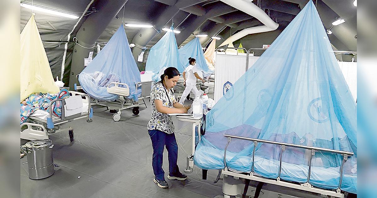 Dengue: en seis semanas se registraron 21 muertos y 18.000 infectados por esta enfermedad ...