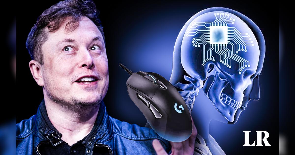 Elon Musk asegura que paciente con chip cerebral Neuralink puede ...