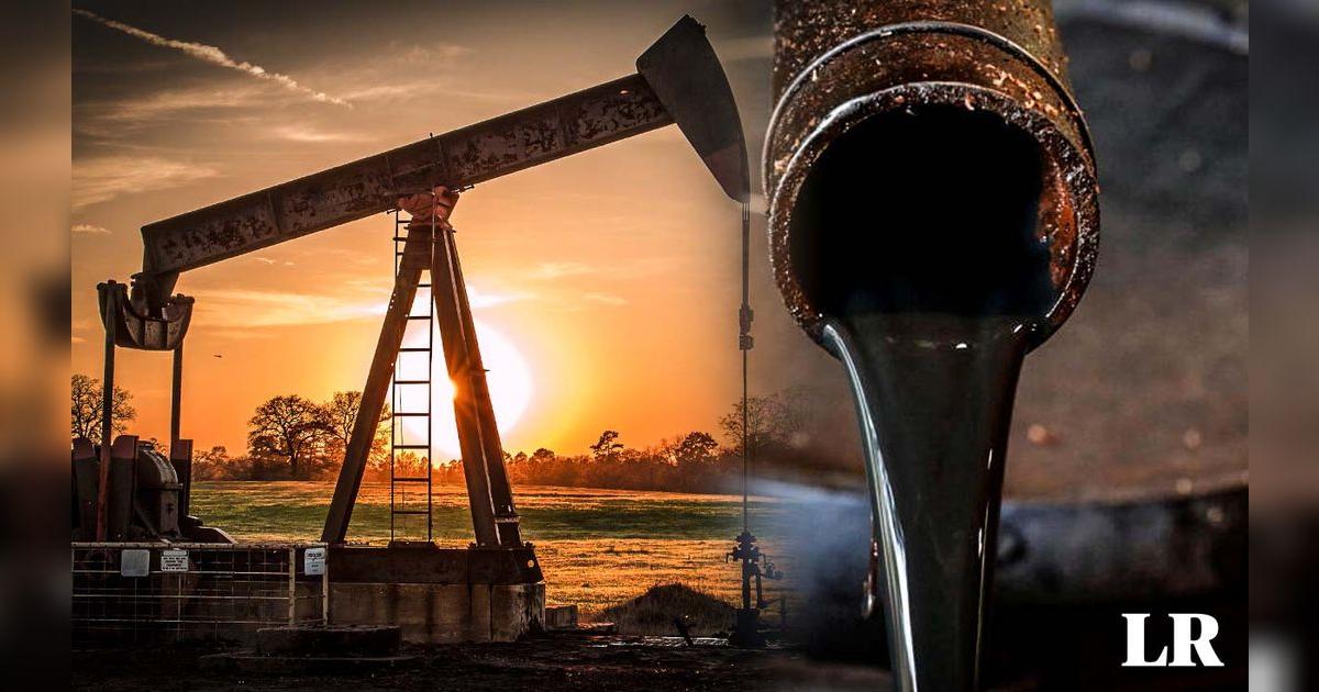 Venezuela | ¿Cómo es la Faja Petrolífera del Orinoco, la zona de ...