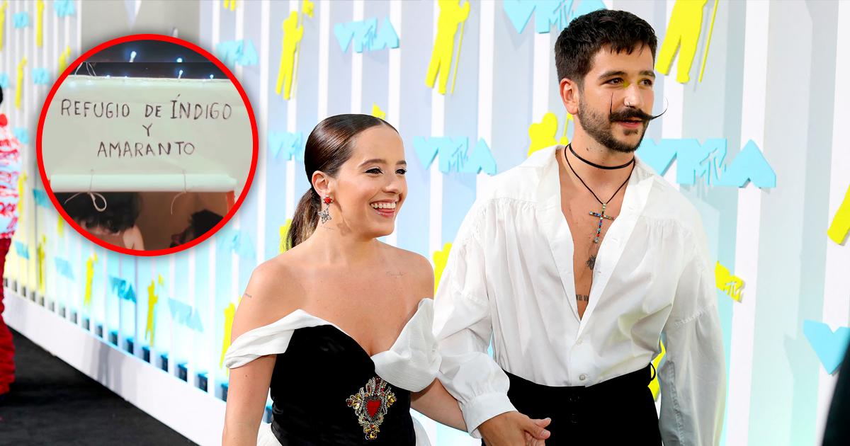 ¿Qué significa Amaranto, el nombre que eligieron Camilo y Evaluna para su segundo bebé? | Índigo ...