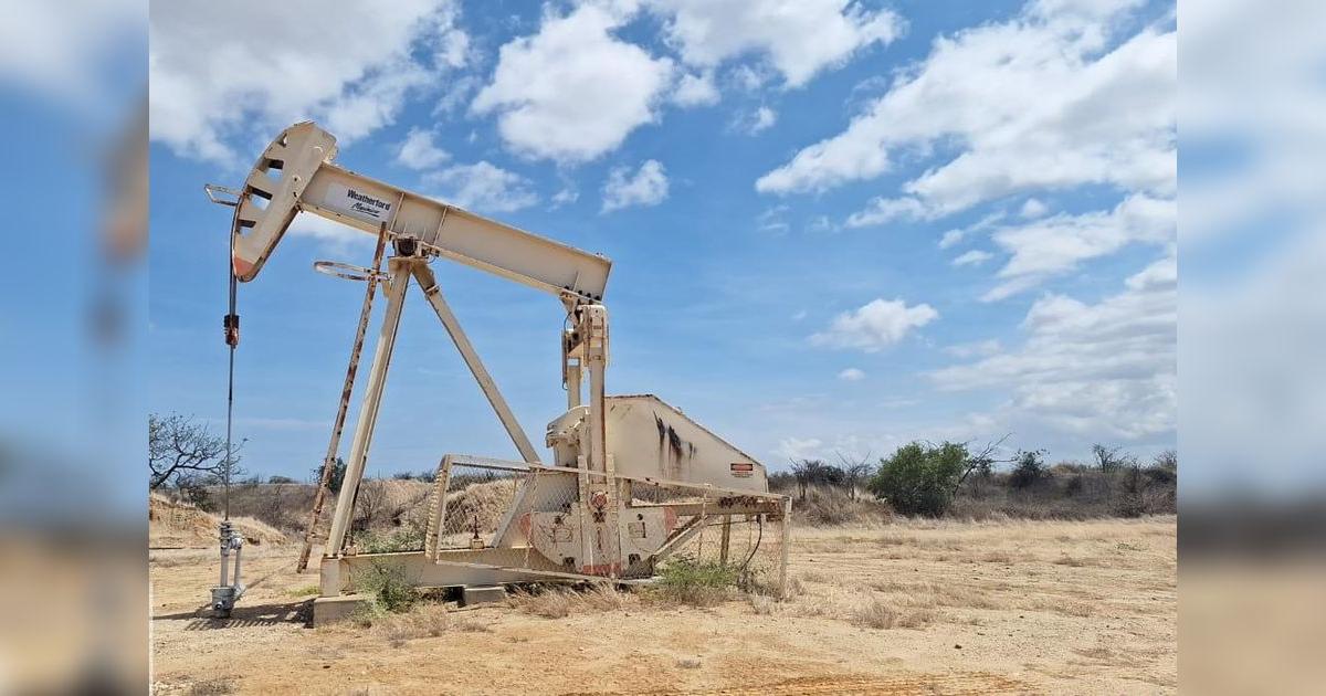 Talara | Lote X: buena pro estará lista el 8 de abril, anuncia ...