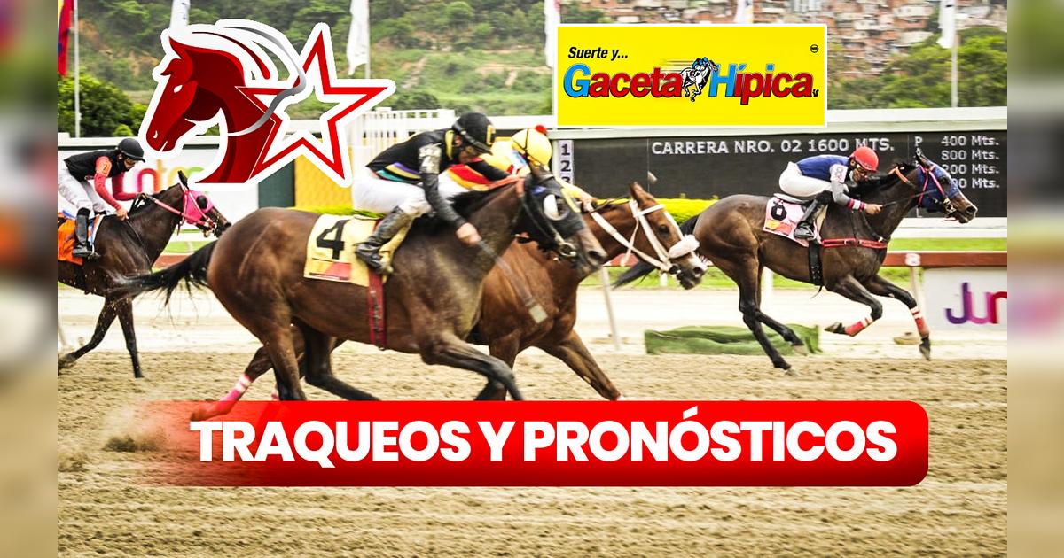 Traqueos La Rinconada, 3 de marzo: resultados, datos, pronósticos y ...