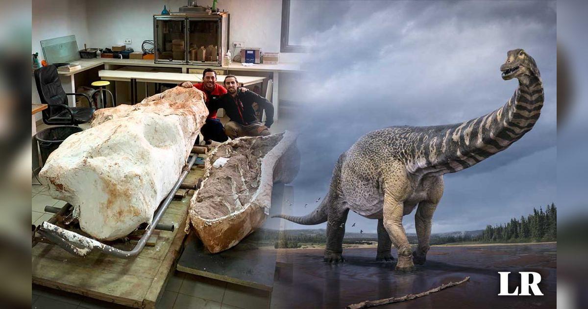 Increíble hallazgo: Encuentran esqueleto de titanosaurio de 70 millones ...