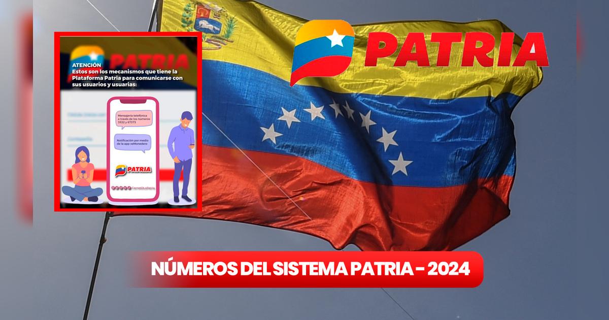 Sistema Patria 2024: ¿dónde enviar la palabra bono? | patria bonos ...