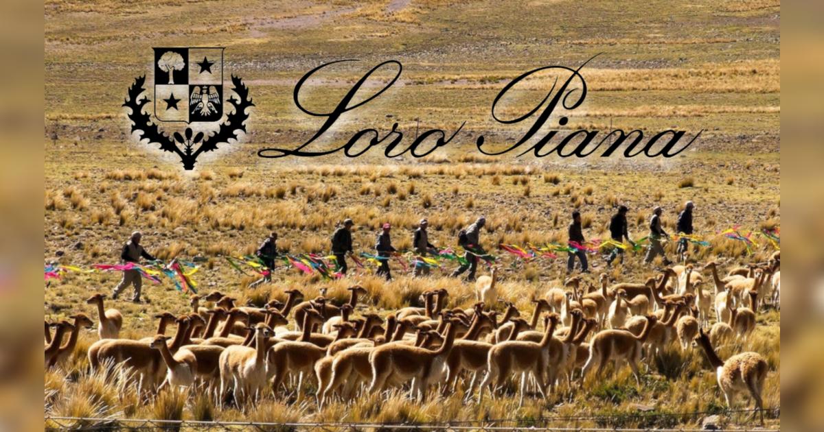 Loro Piana Perú: ¿cuál fue su respuesta ante reclamo de legislador de EE.UU por explotación a ...