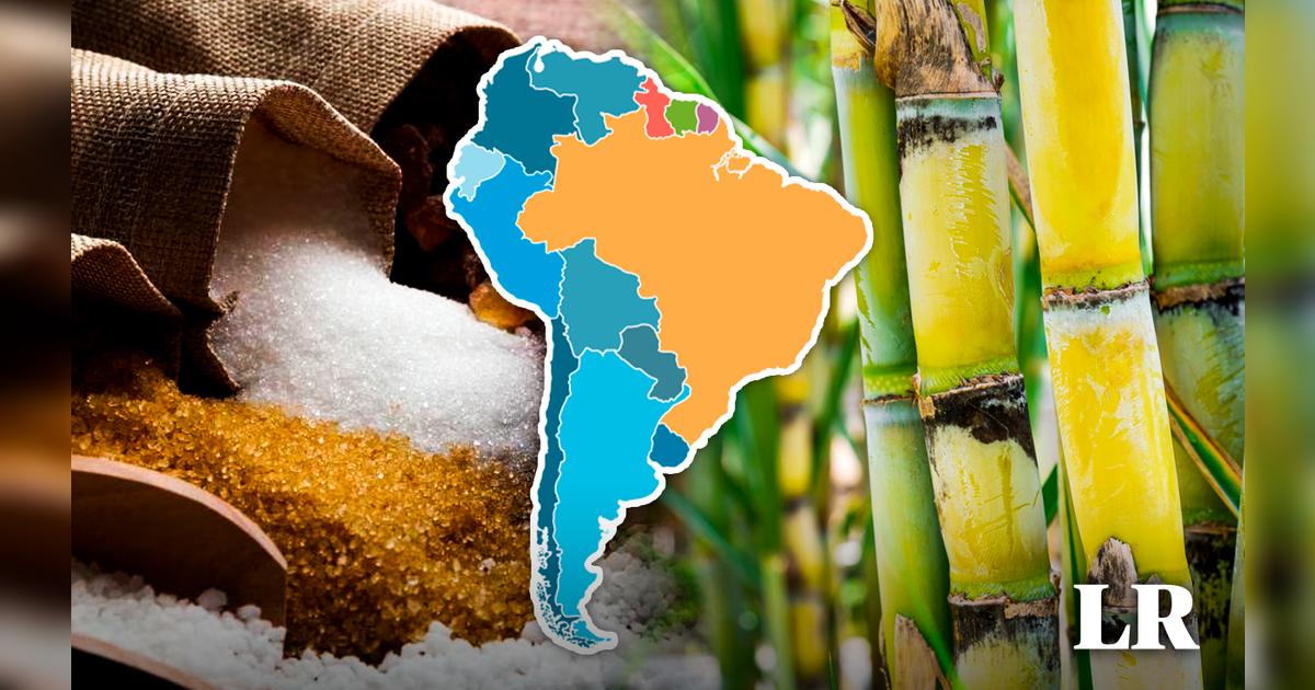 El mayor productor y exportador de azúcar en el mundo está en Sudamérica | Brasil | Statista ...