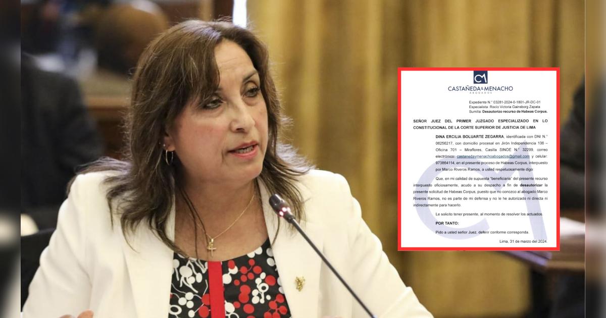 Dina Boluarte desconoce el habeas corpus presentado en el Poder Judicial a su favor por el caso ...