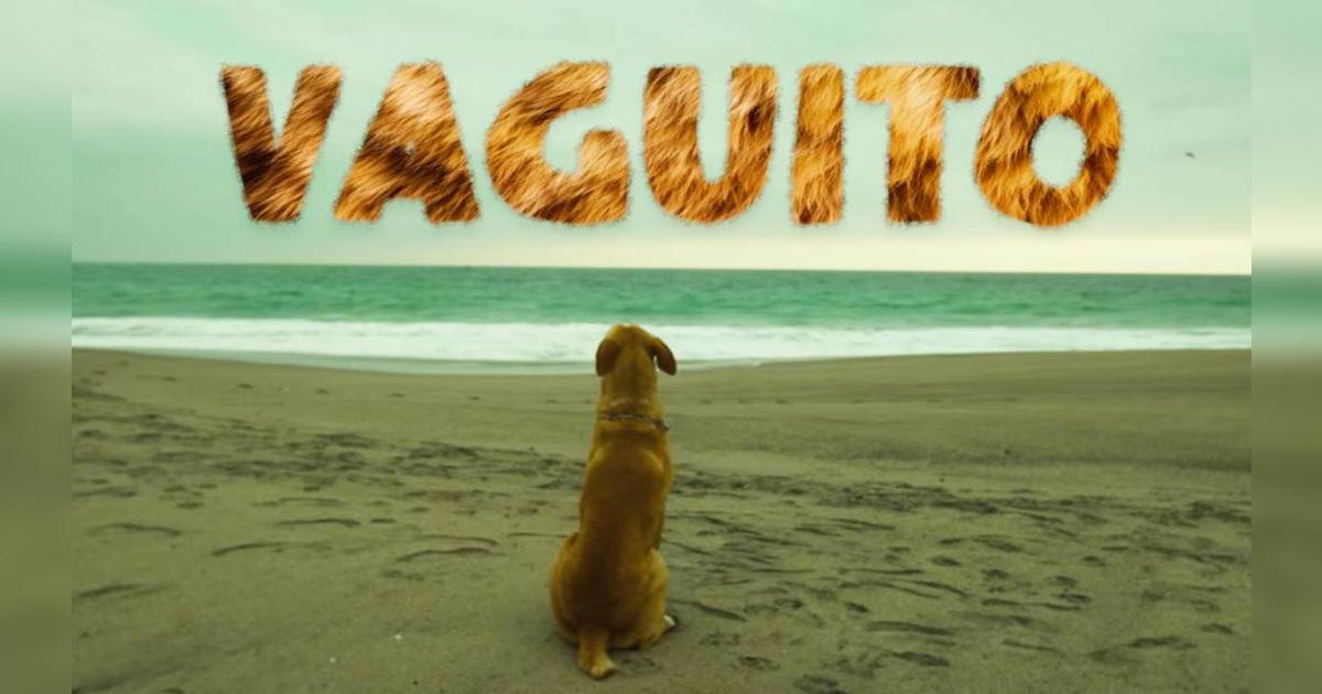 ‘Vaguito’: estreno, reparto y todo sobre el filme inspirado en el 'Hachiko peruano'| cineplanet ...