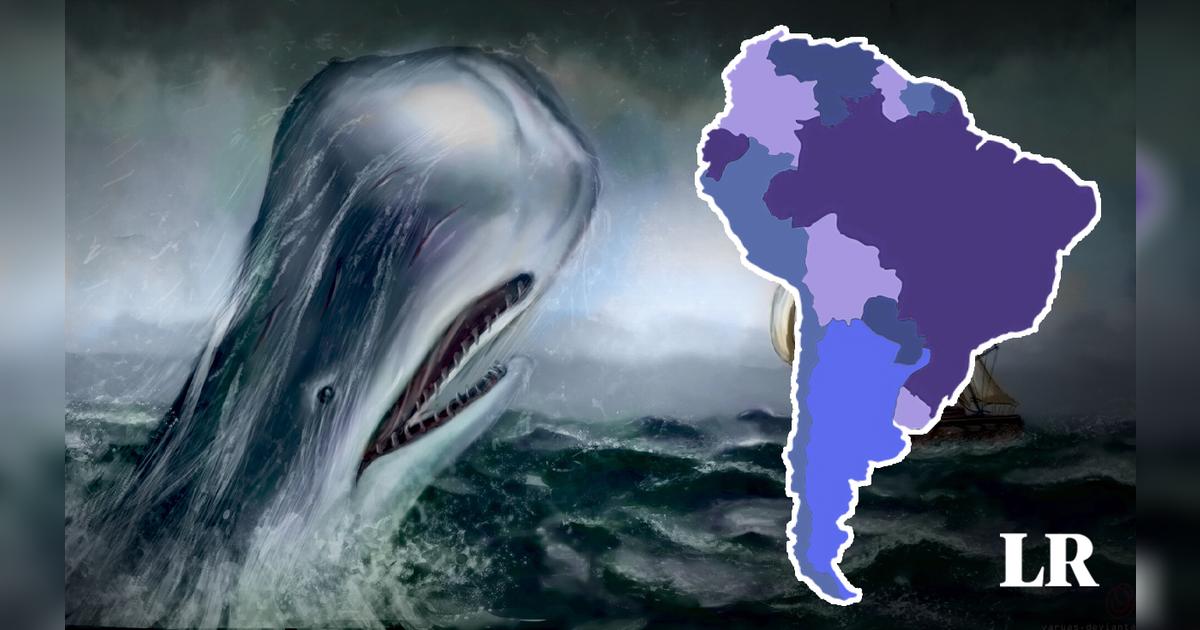 Conoce a la misteriosa ballena que inspiró Moby Dick y está en ...