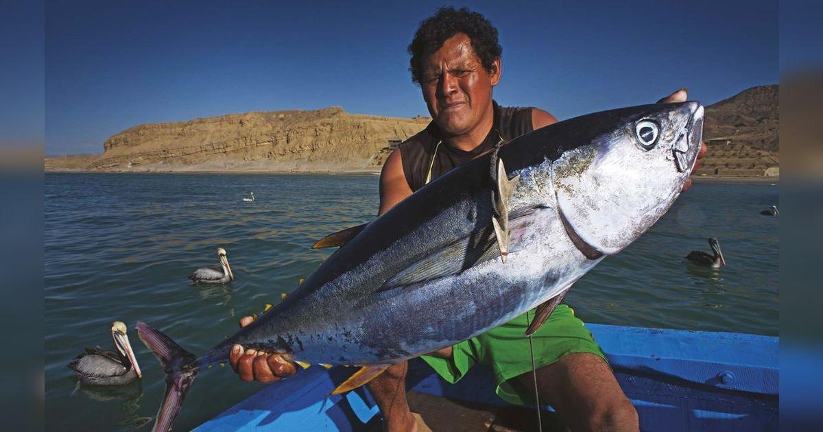 Gobierno aprueba la creación de la Reserva Nacional Mar Tropical Grau ...