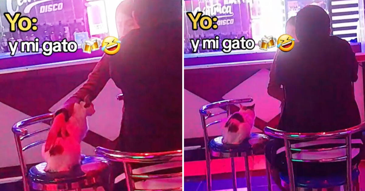 Peruana Es Viral Tras Llevar A Su Gatito A Discoteca Y Dicen “tiene