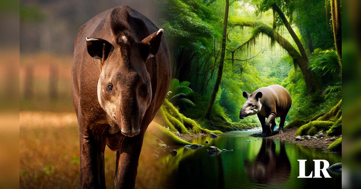 Argentina | El mamífero autóctono más grande de SUDAMÉRICA, que existe ...