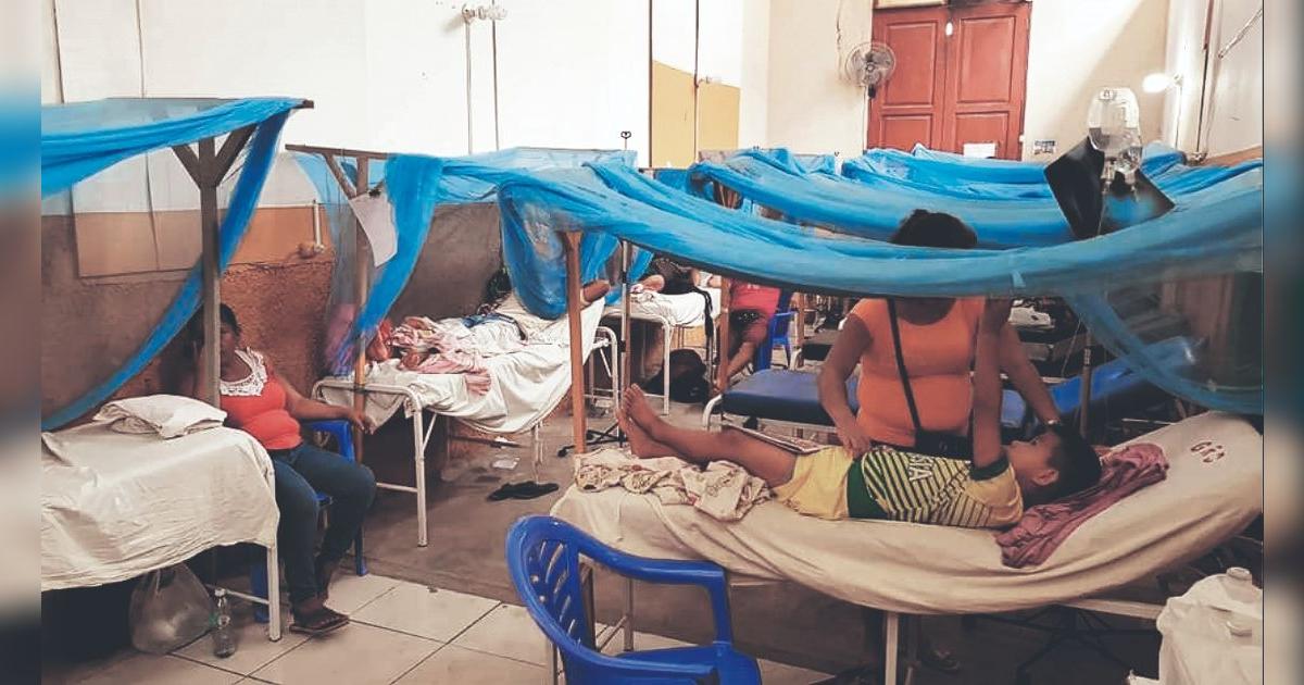 Reportan cerca de 8.500 casos de malaria en Loreto | uta | enfermedades ...