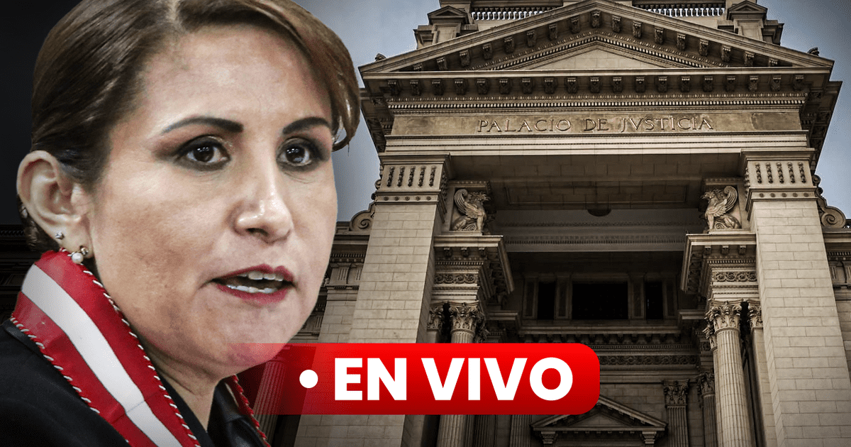 Patricia Benavides Pj Evalúuó Requerimiento De Impedimento De Salida