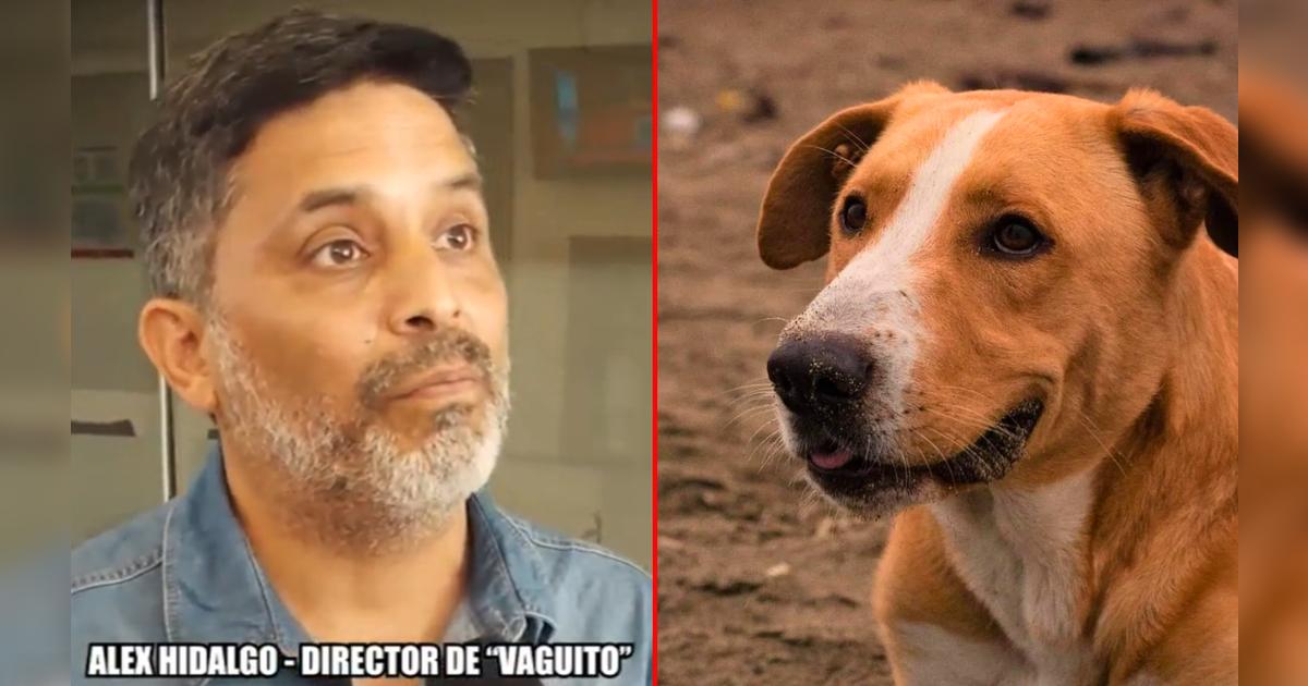 Director de ‘Vaguito’, Alex Hidalgo, es acusado de no cumplir con donaciones y da contundente ...