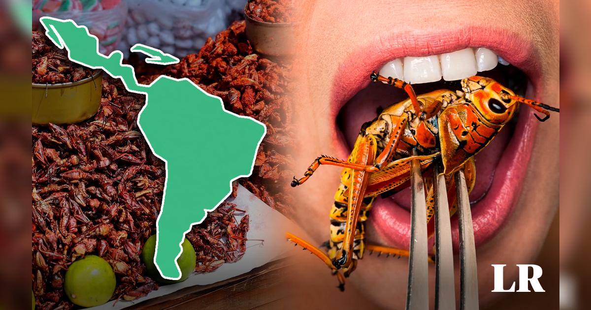 Uno de los países que consume más insectos en el mundo está en ...