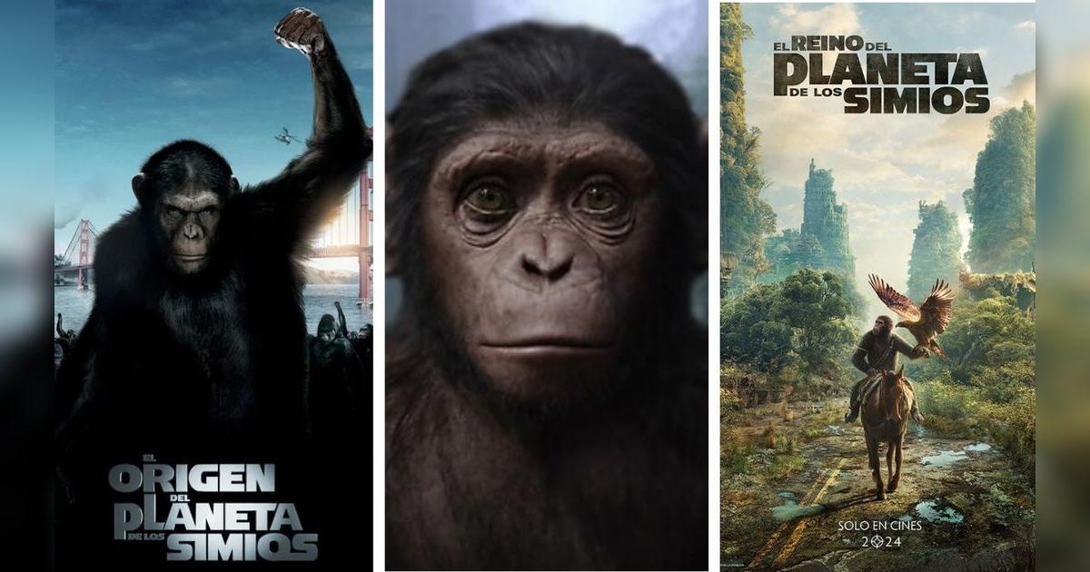 'El planeta de los simios': ORDEN CRONOLÓGICO para ver todas las ...