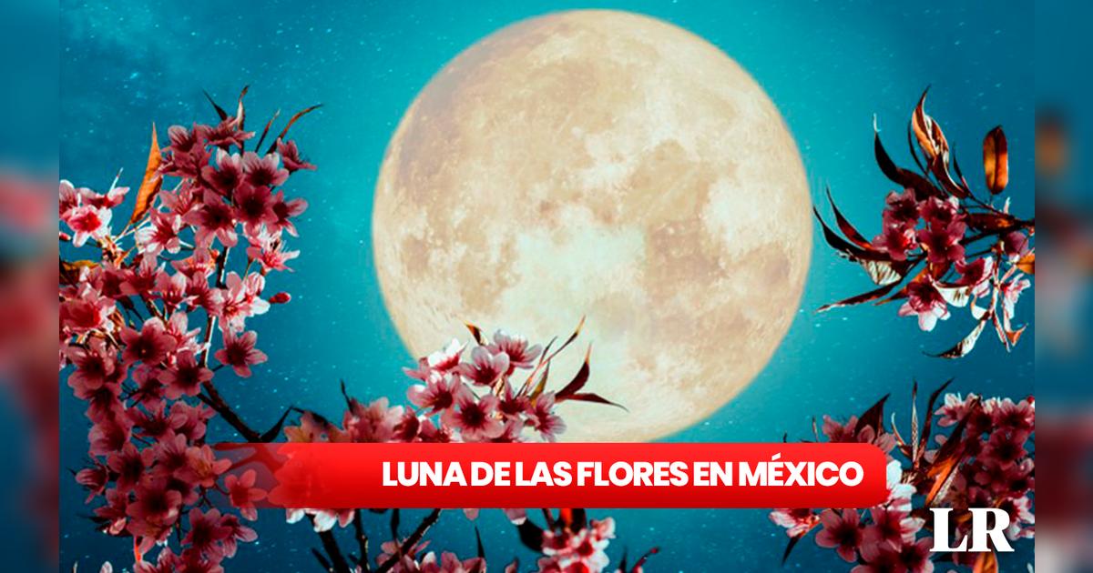 Esta es la hora exacta en que la LUNA DE FLORES llegará a su punto más ...