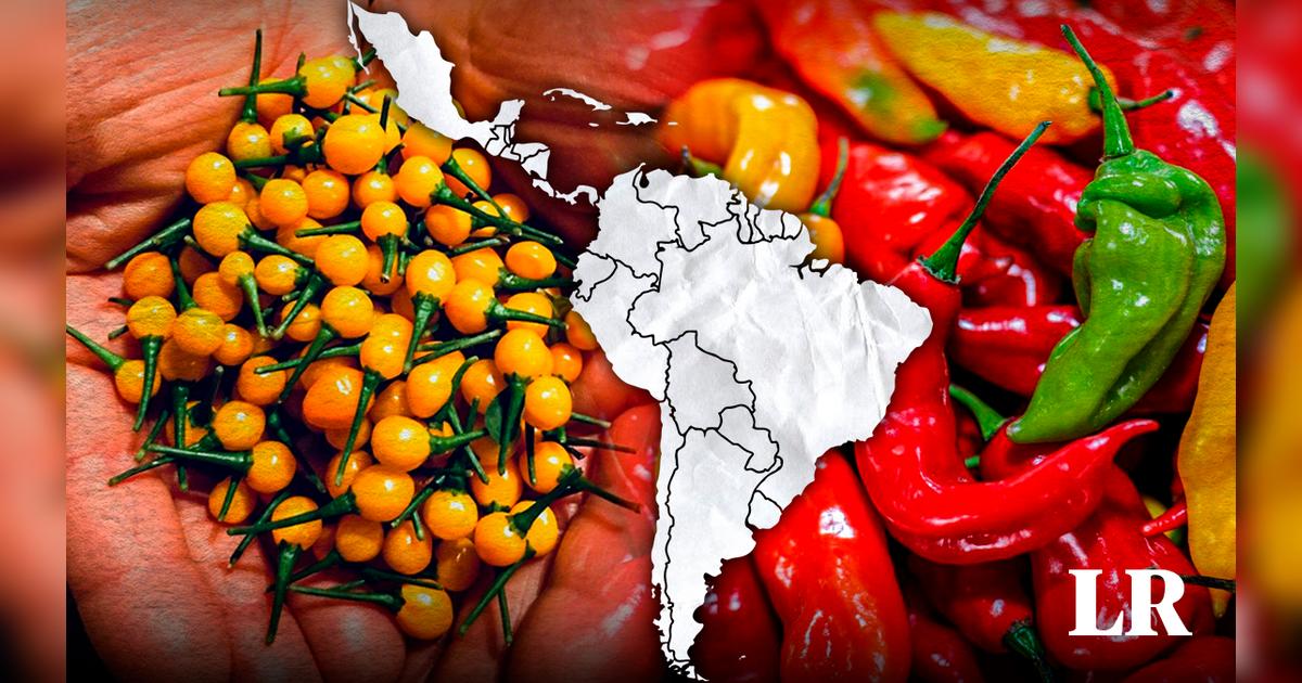 El nuevo 'ají' más picante del mundo está en América: no es de Perú ni ...