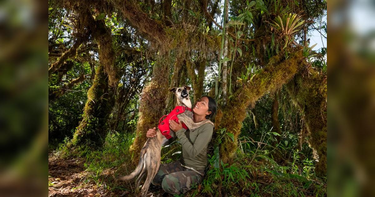 La heroína de los Andes: bióloga peruana y su perrita rescatan osos ...
