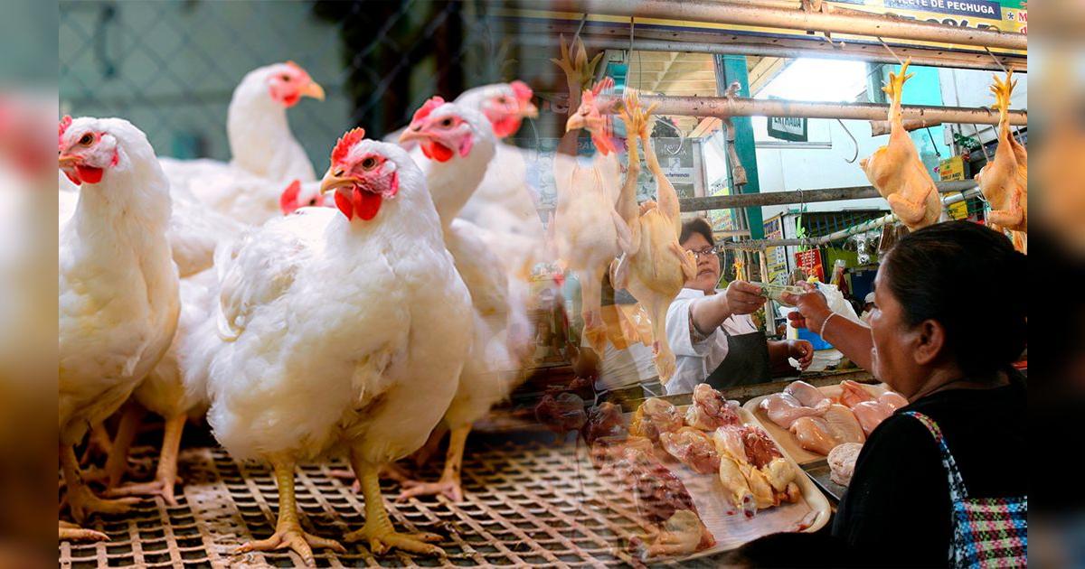 ¡Bajó el precio del pollo en Lima! Conoce dónde comprar el kilo a menos ...